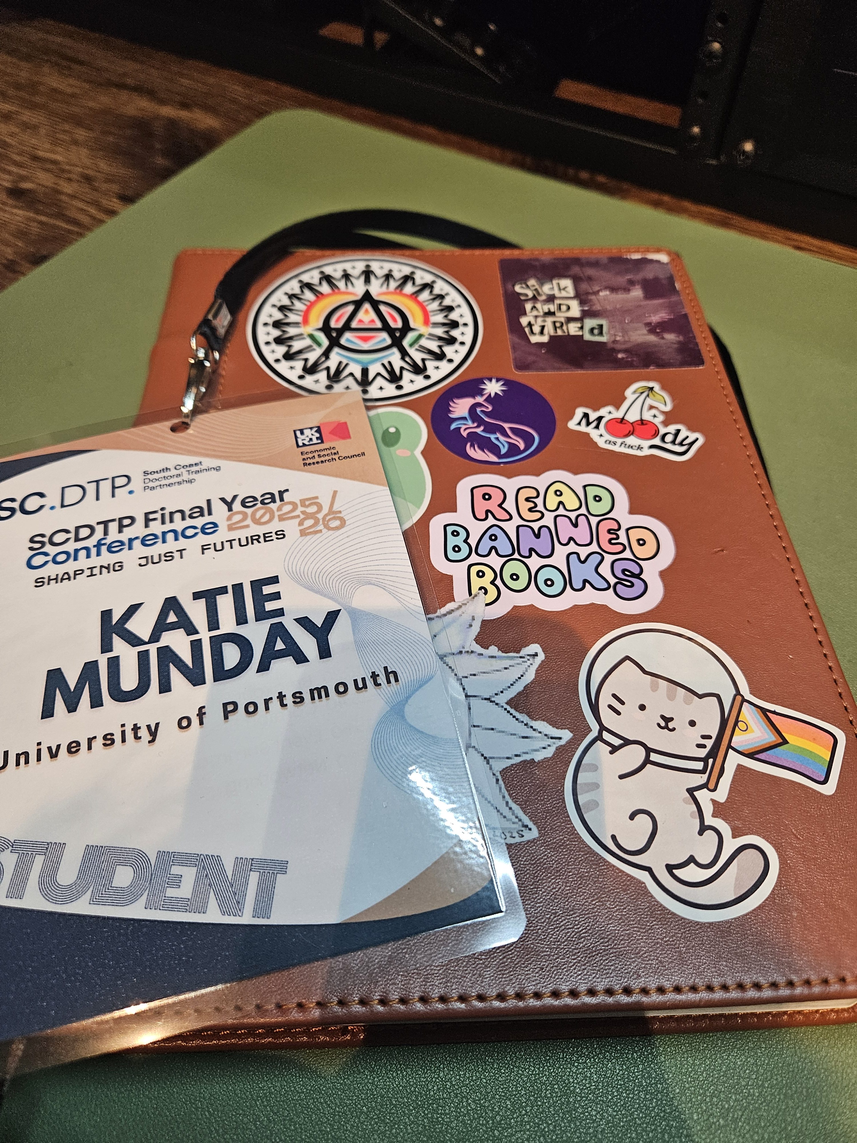 Exploring Social Justice in Research: Reflections from the SCDTP Final ...